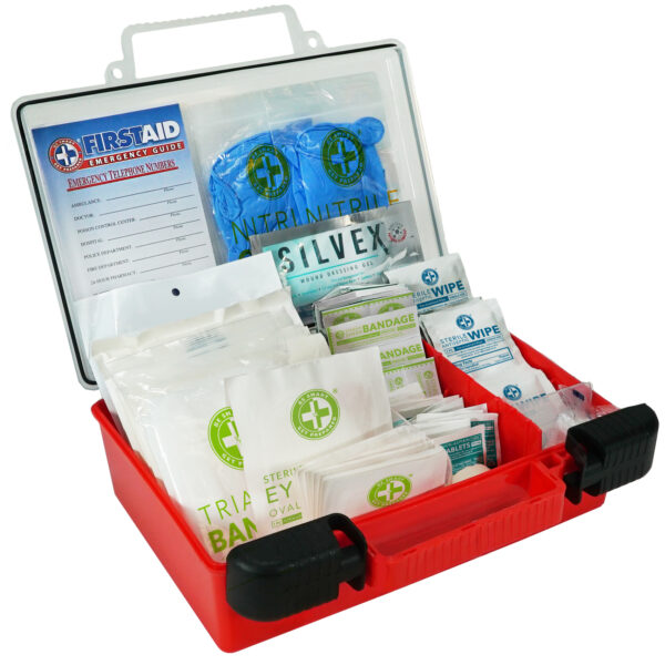 OSHA ANSI/ISEA First Aid Kit - 256 pcs - First Aid Plus More